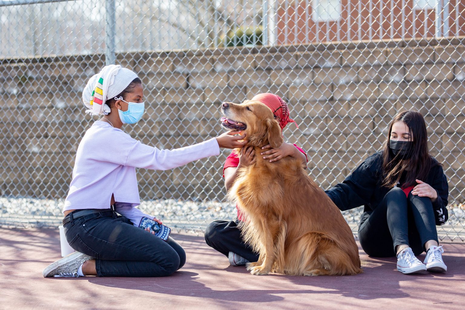 K-9 visitors make 'Paws Day' a hit - EMU News