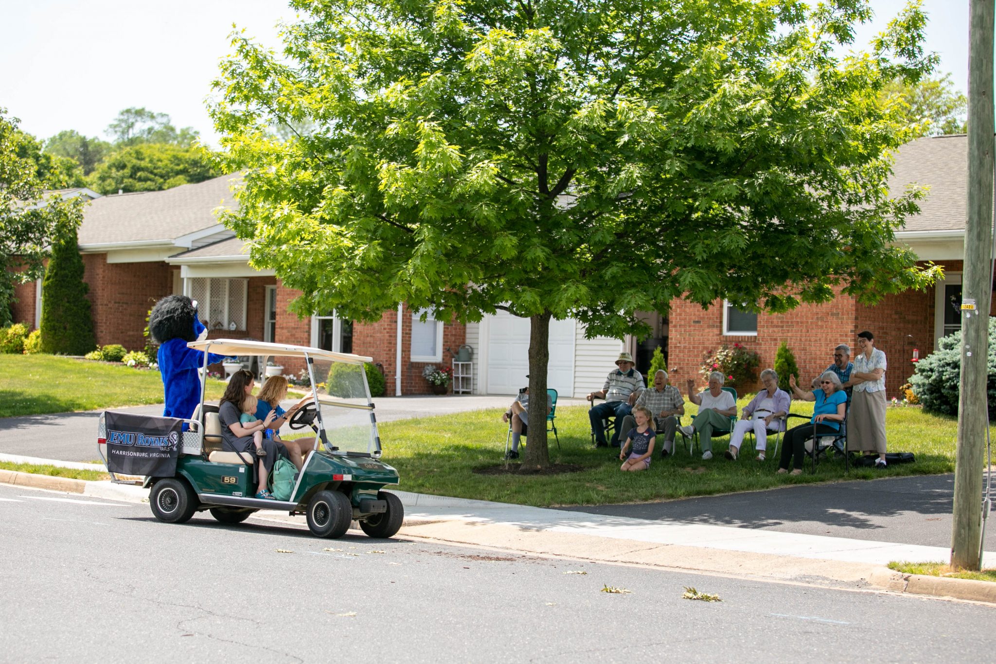 Herm on parade! EMU's mascot makes debut appearance - EMU News