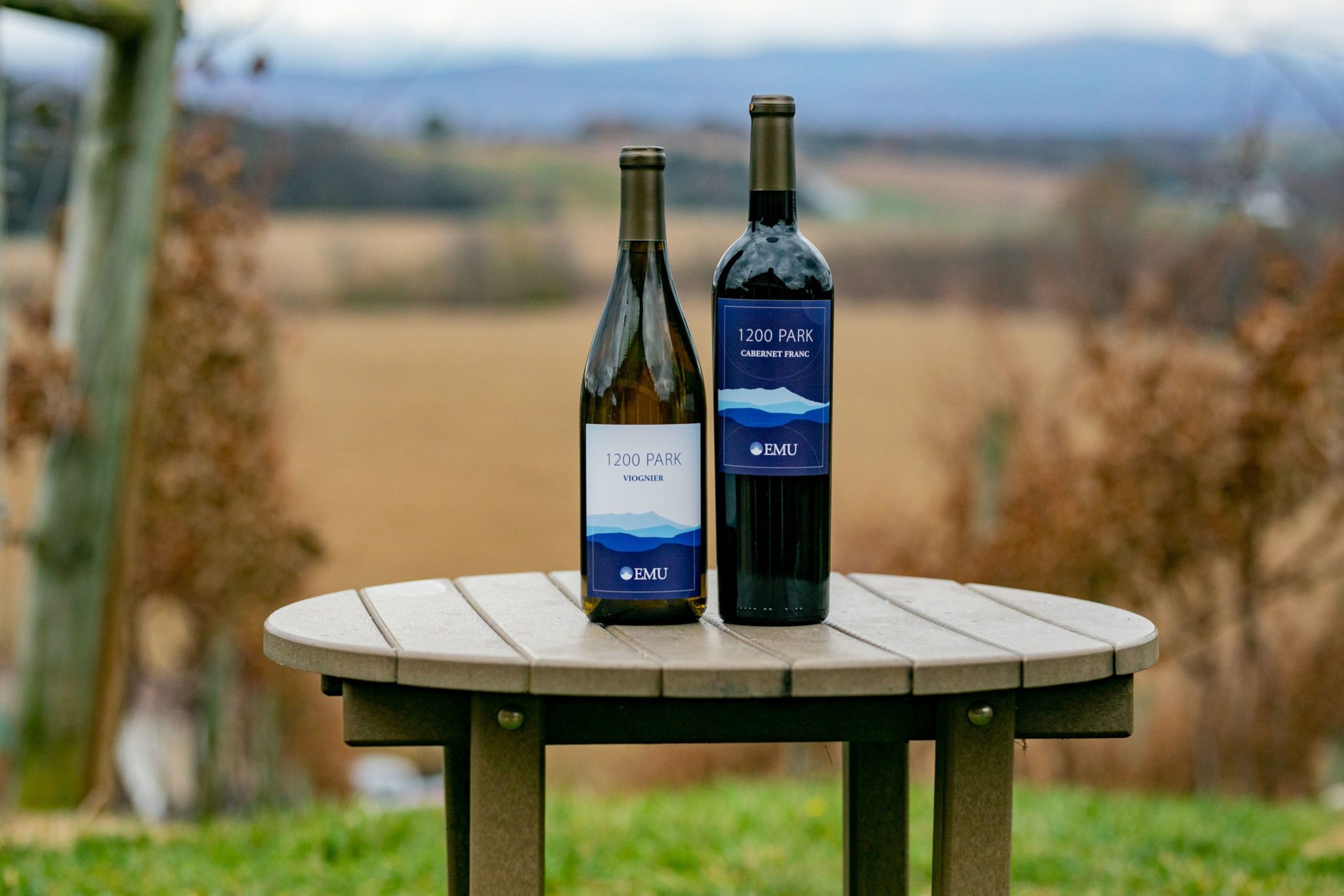 Hartman family’s Bluestone Vineyard rooted in the Valley, Mennonite ...