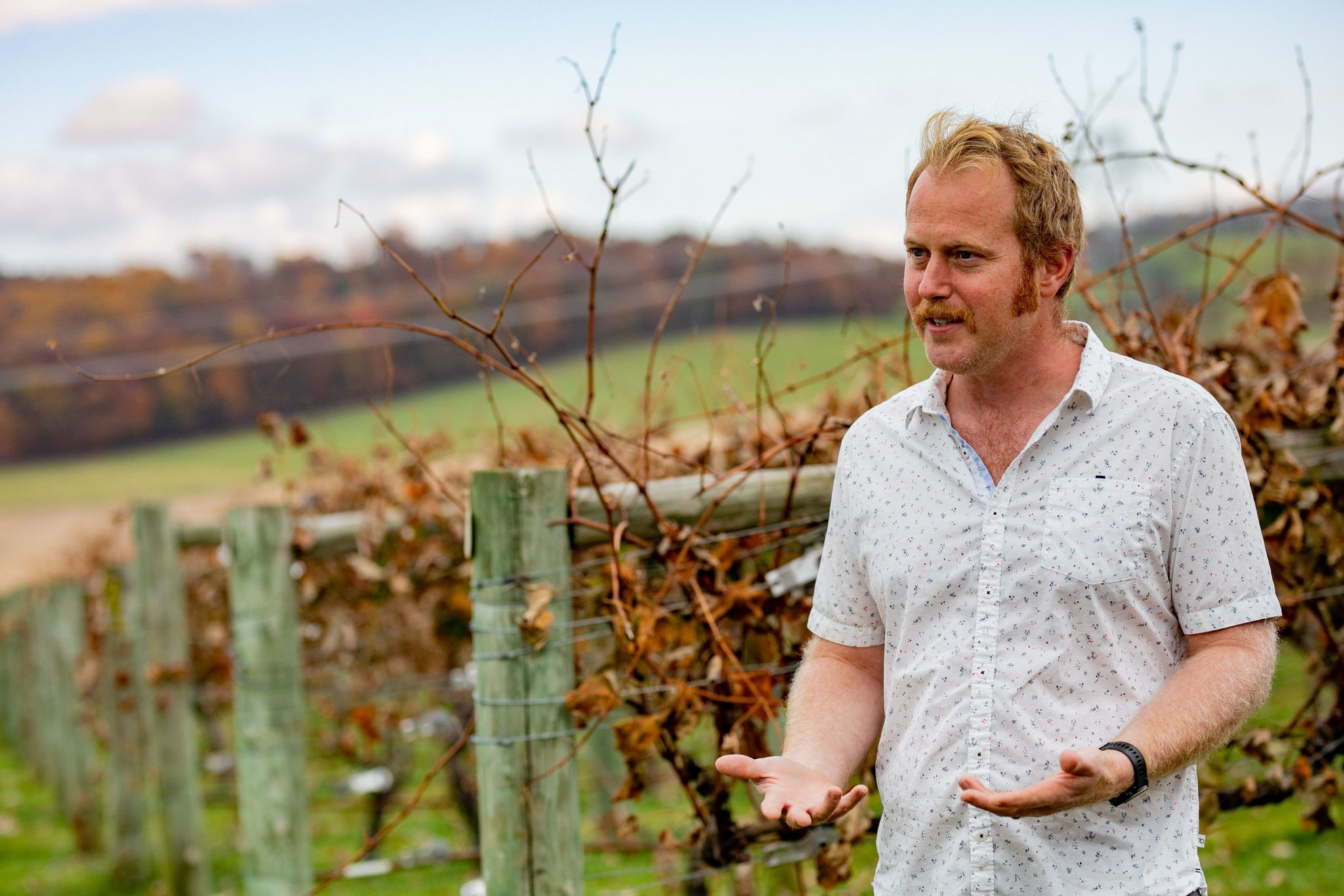 Hartman family’s Bluestone Vineyard rooted in the Valley, Mennonite ...