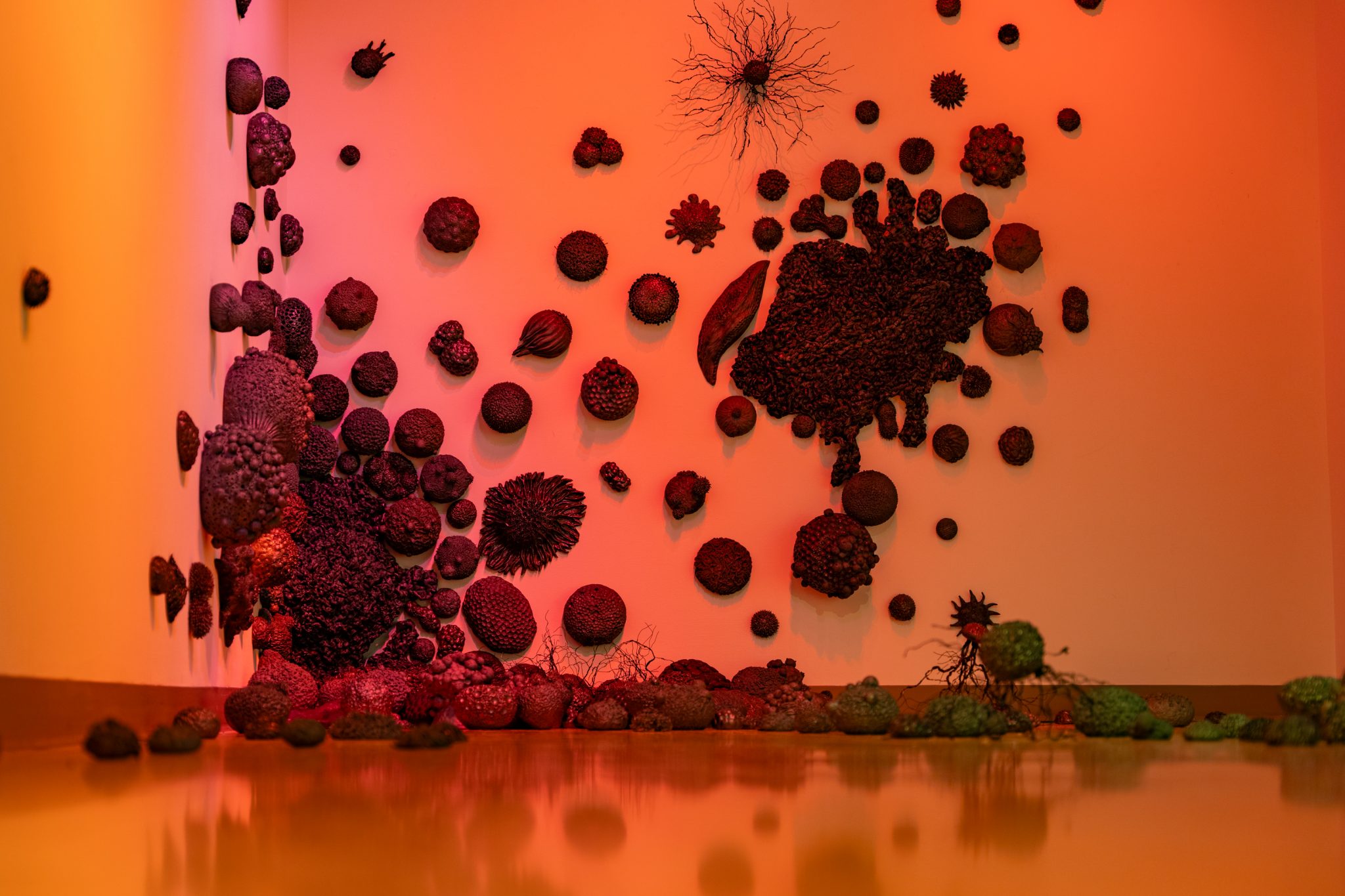 PHOTO GALLERY: Inside the new immersive art installation 'In Entropy ...