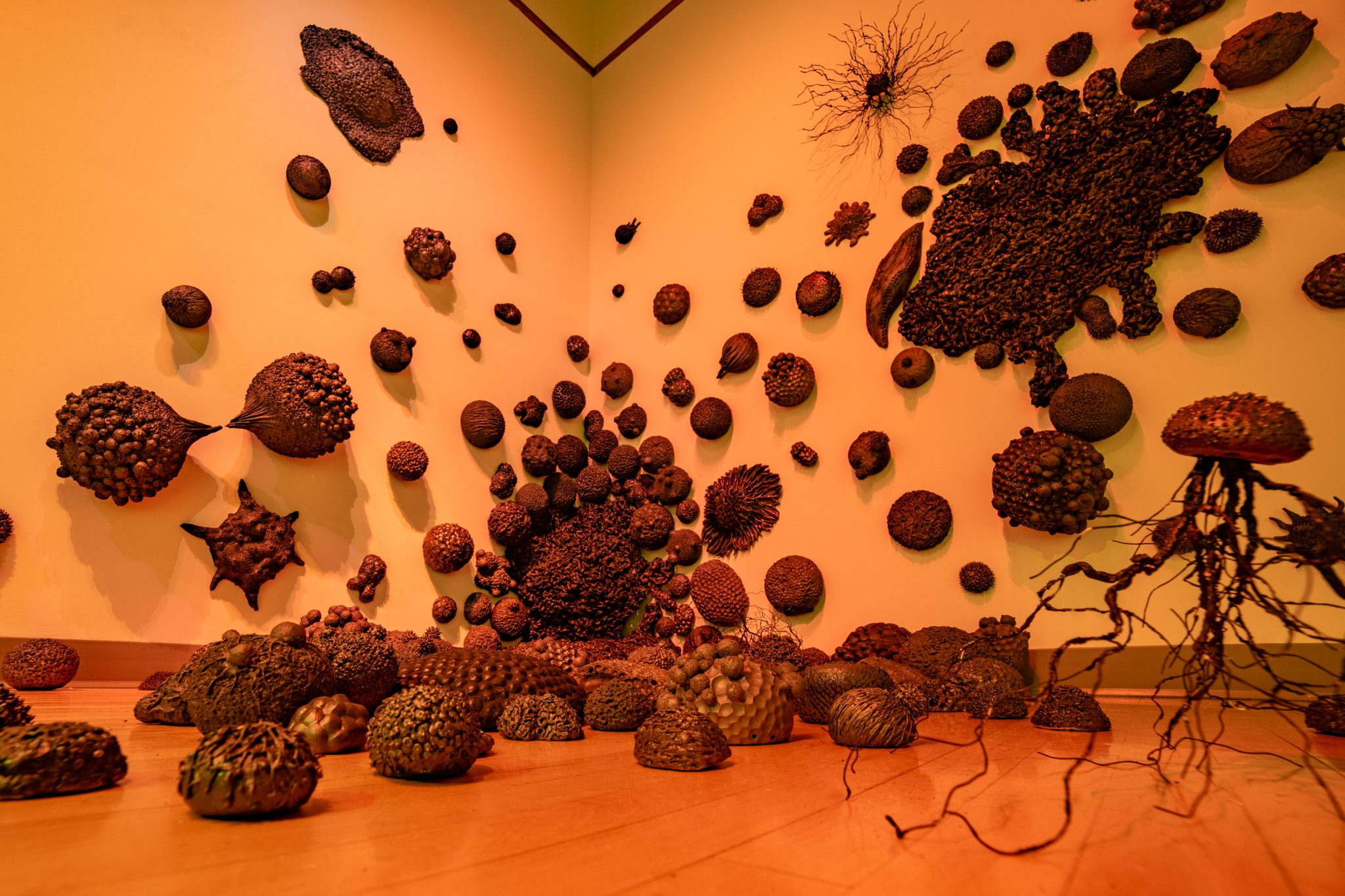 PHOTO GALLERY: Inside the new immersive art installation 'In Entropy ...