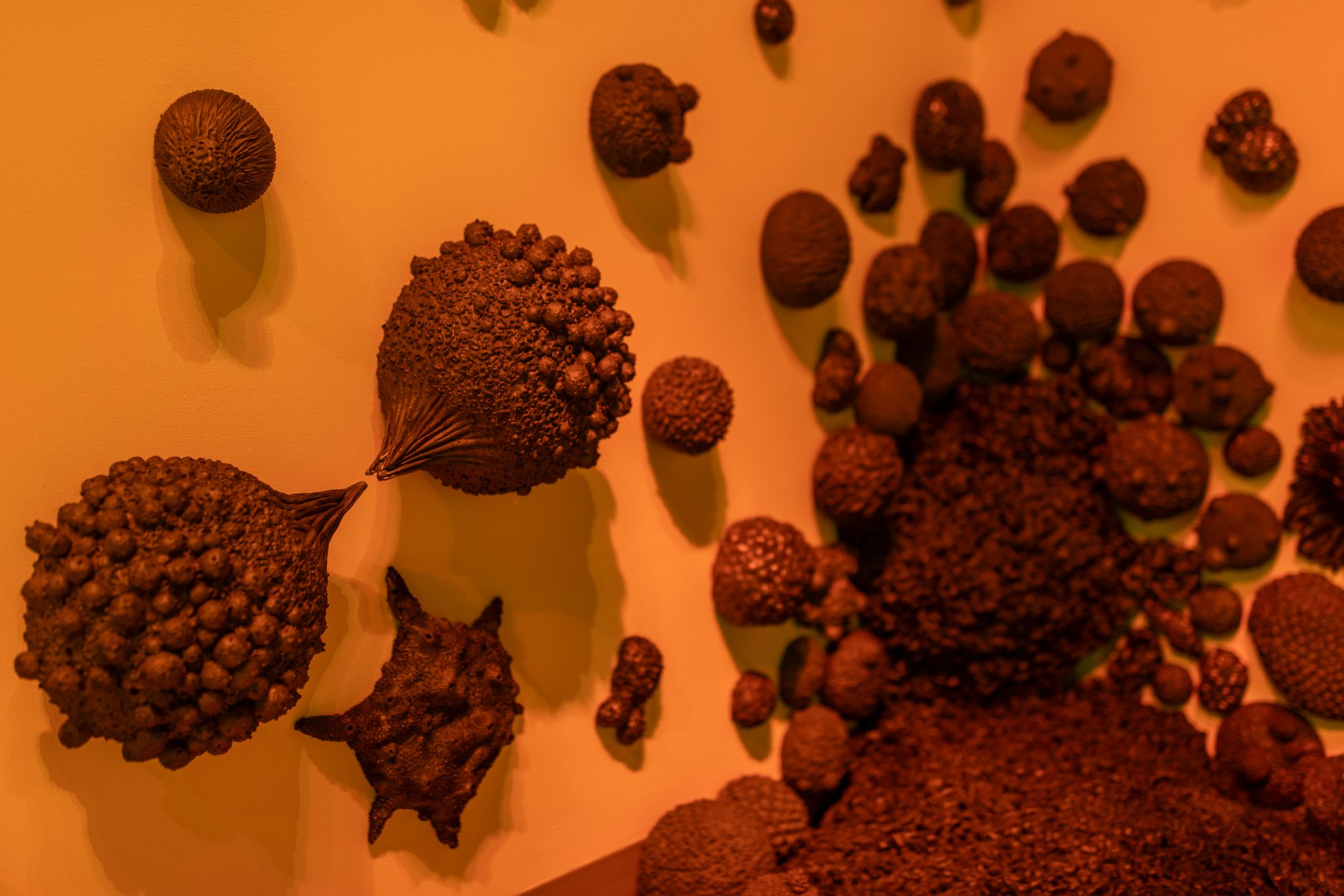 PHOTO GALLERY: Inside the new immersive art installation 'In Entropy ...