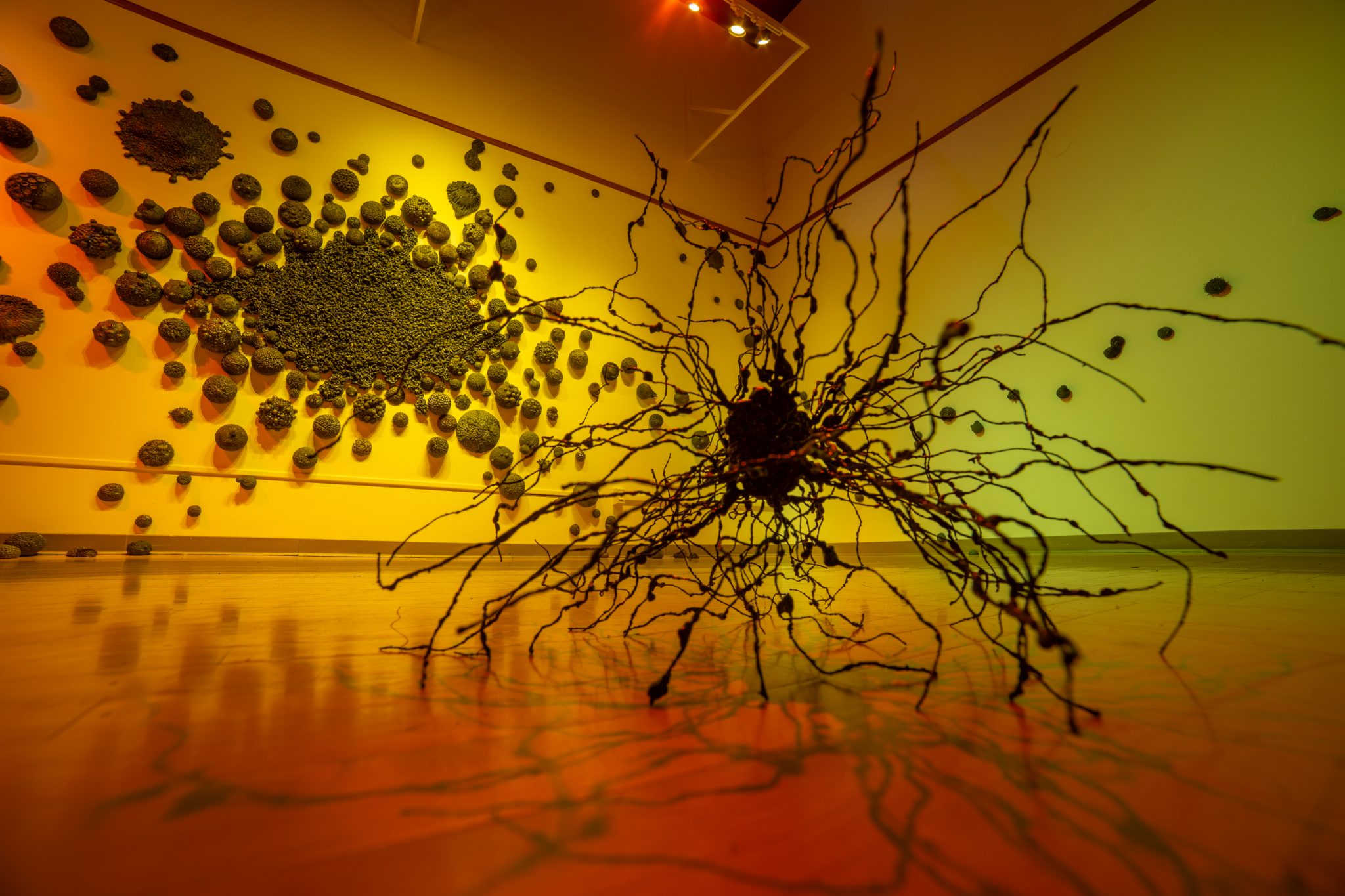 PHOTO GALLERY: Inside the new immersive art installation 'In Entropy ...