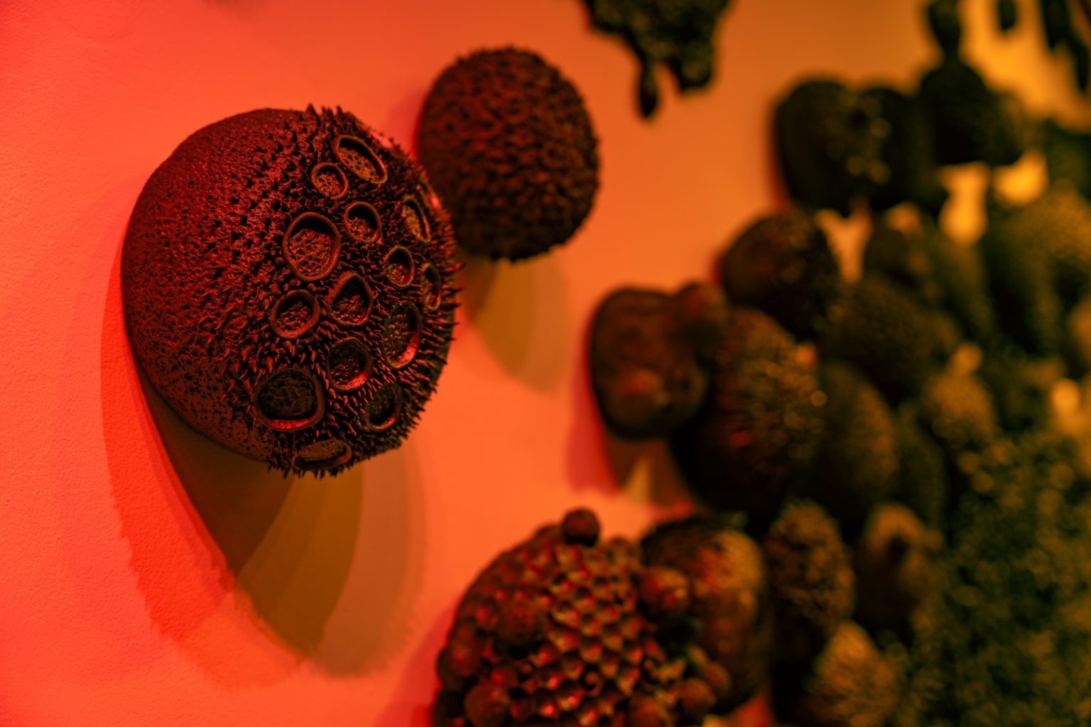 PHOTO GALLERY: Inside the new immersive art installation 'In Entropy ...